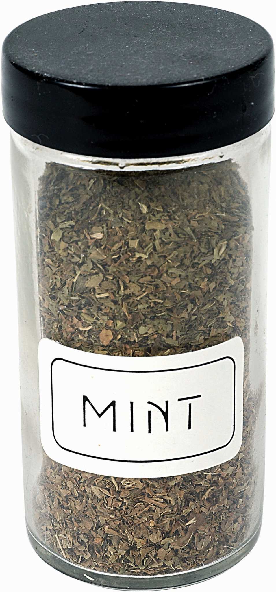 How to Harvest and Preserve Your Mint Crop