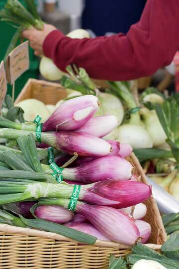 When to Harvest Red Torpedo Onions