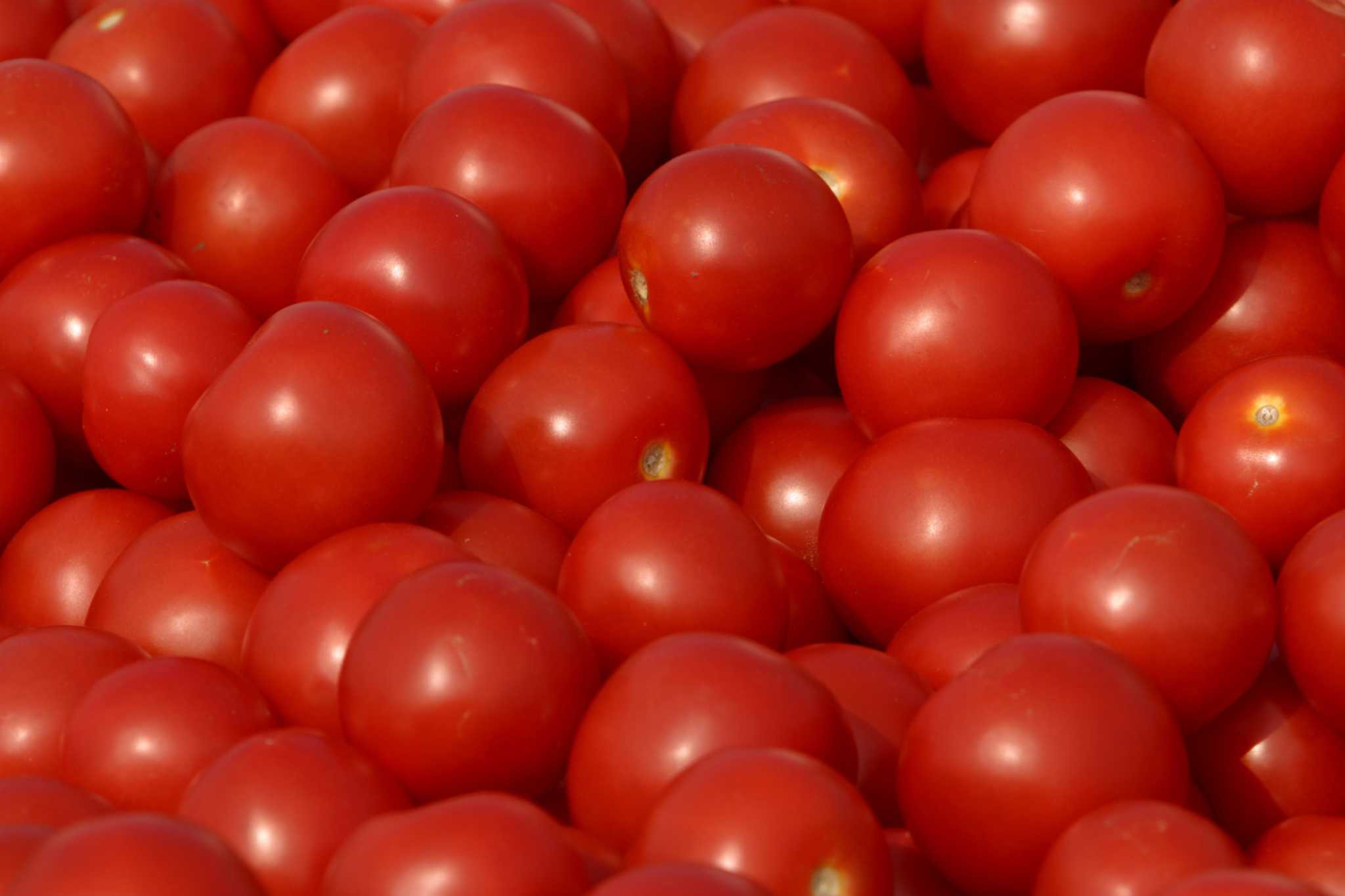 How to Harvest Seeds From Grape Tomatoes
