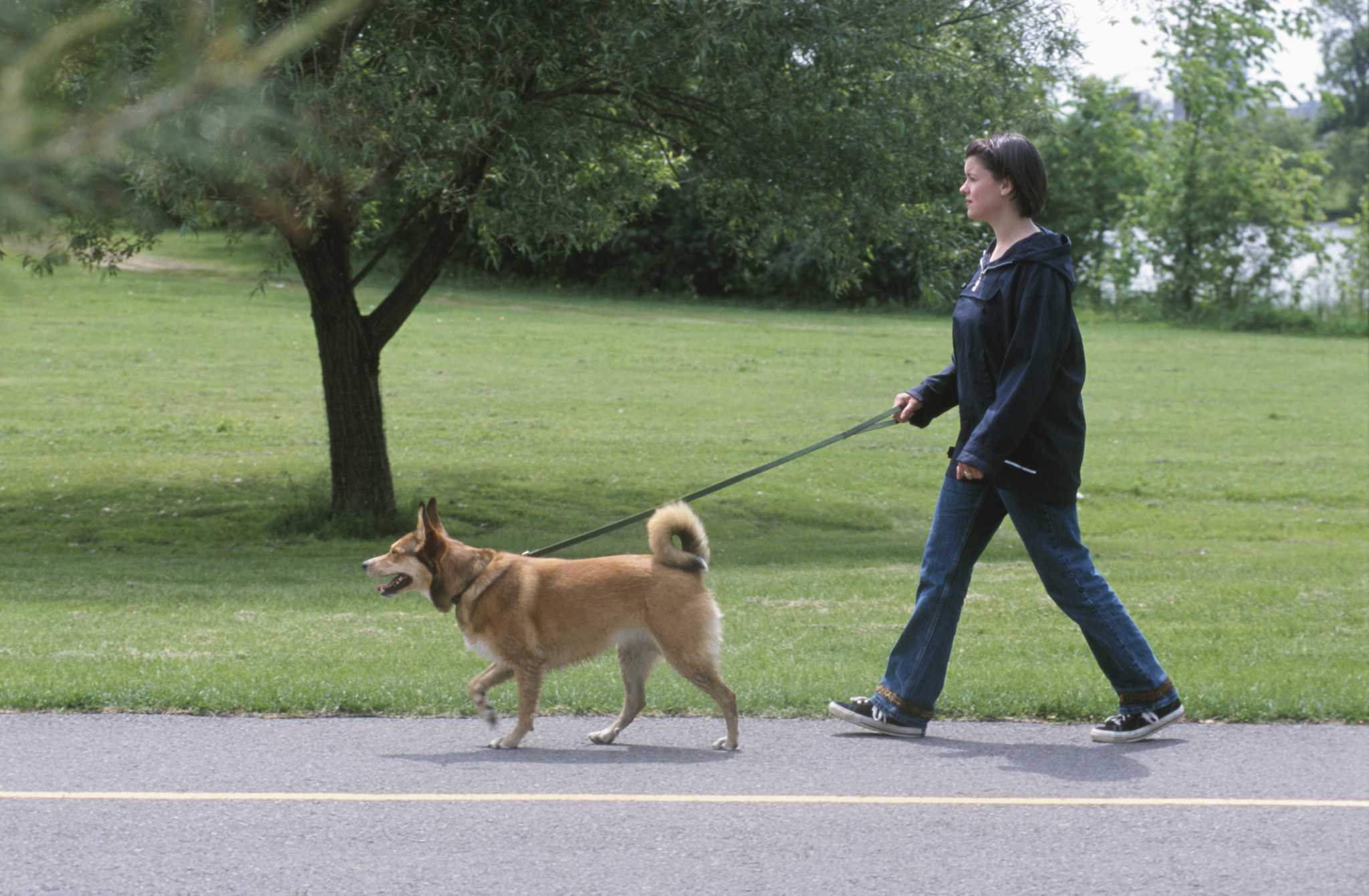 Can Walking Give You Upper Body Strength Can Walking Give You Upper Body Strength