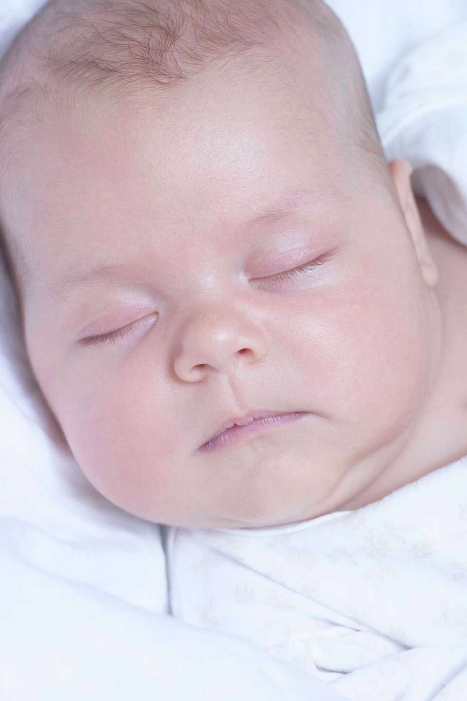 The Development of Fetal Organs