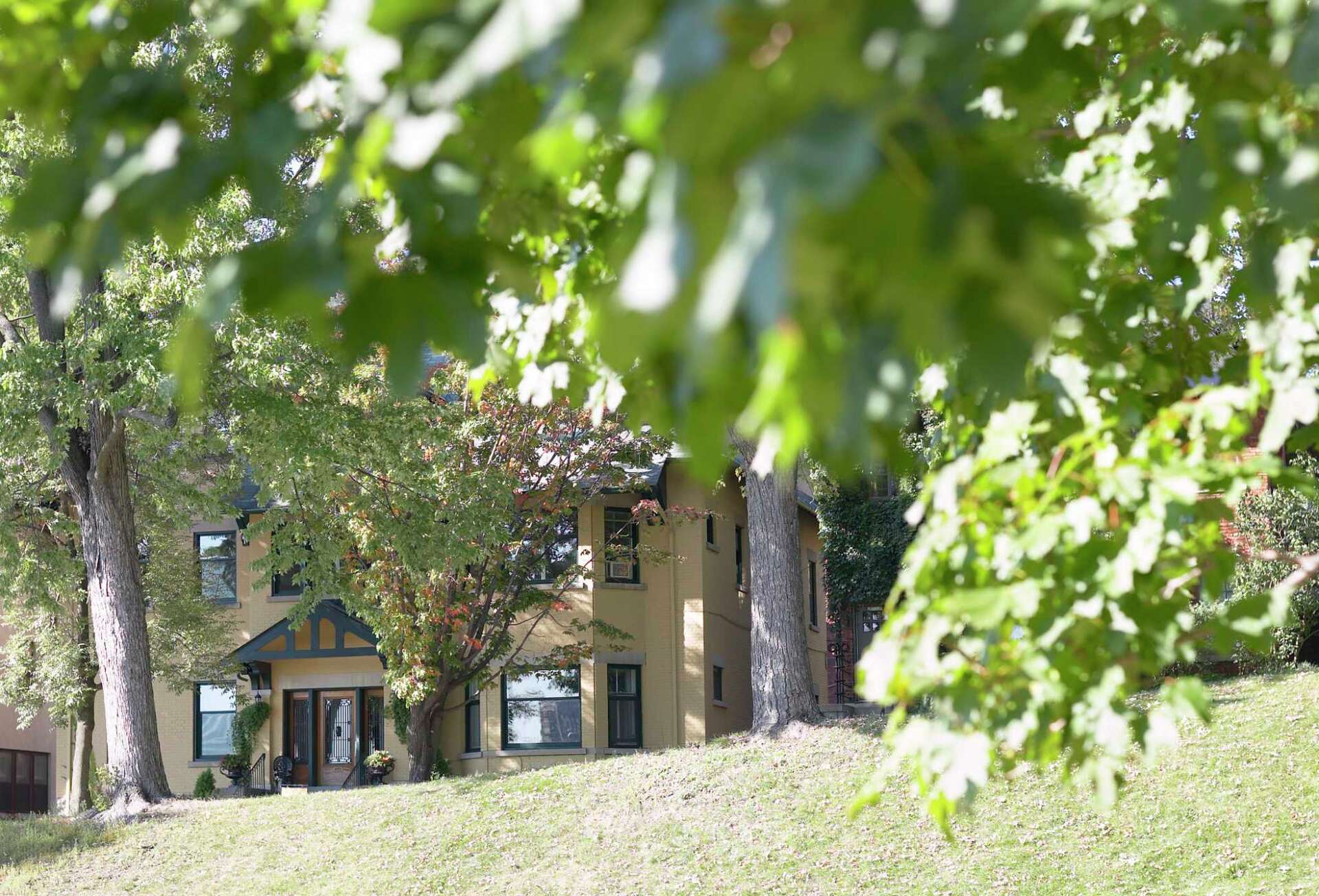 Homemade Cabbage Moth Traps