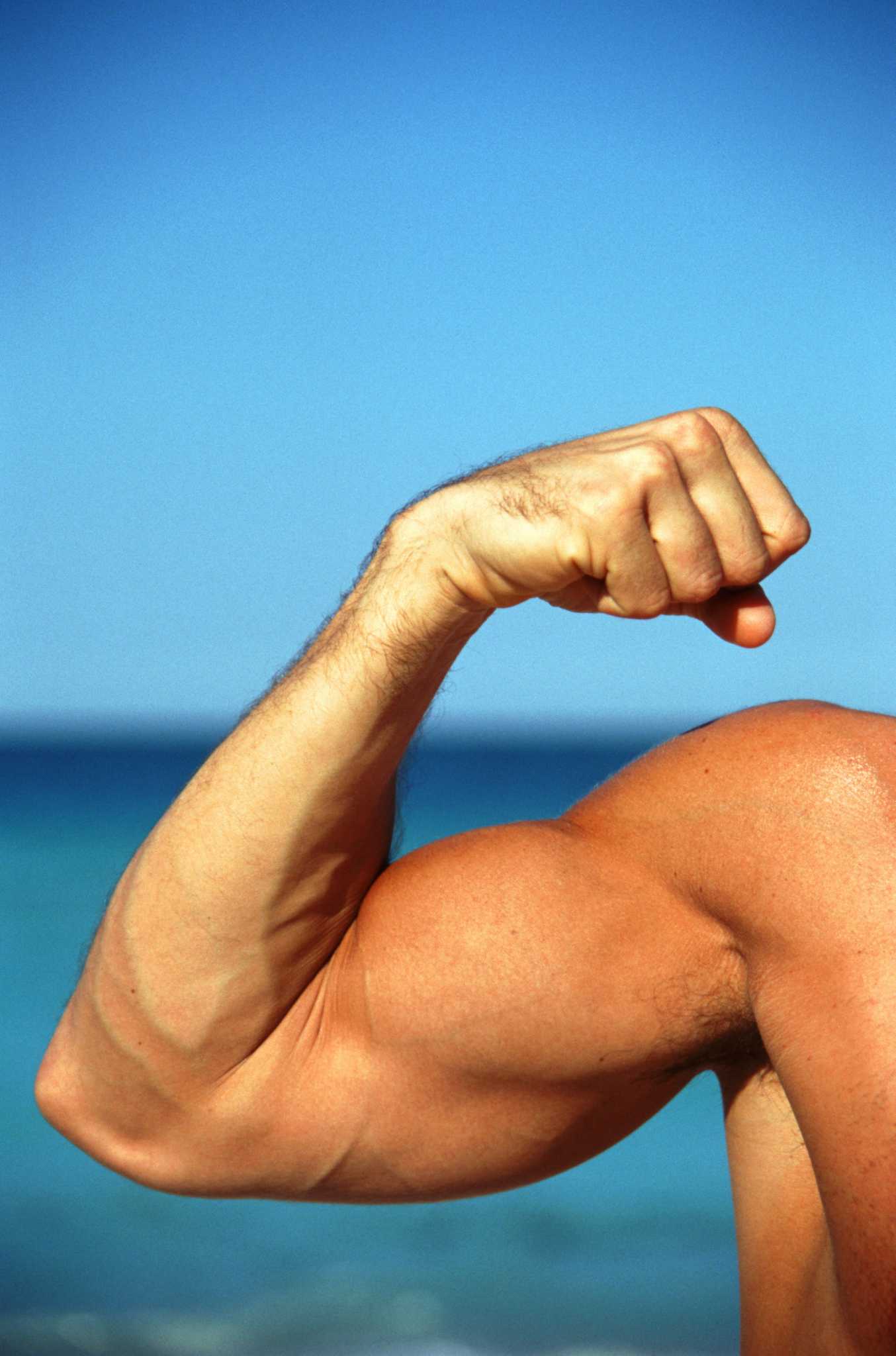 The Different Bicep & Tricep Heads for Working Out