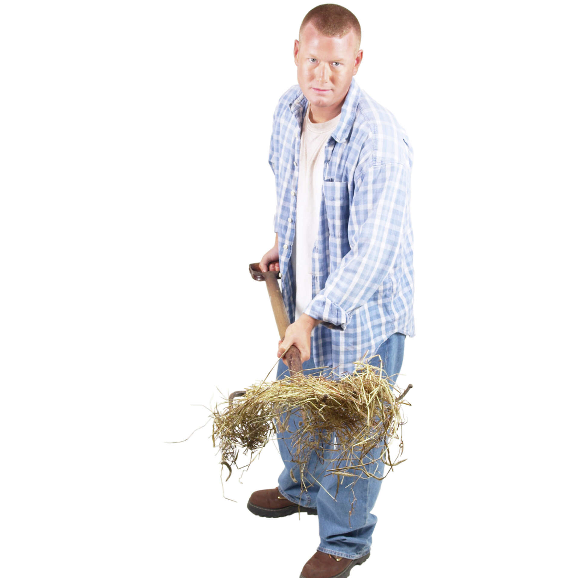 Is the Smell of Manure Dangerous?