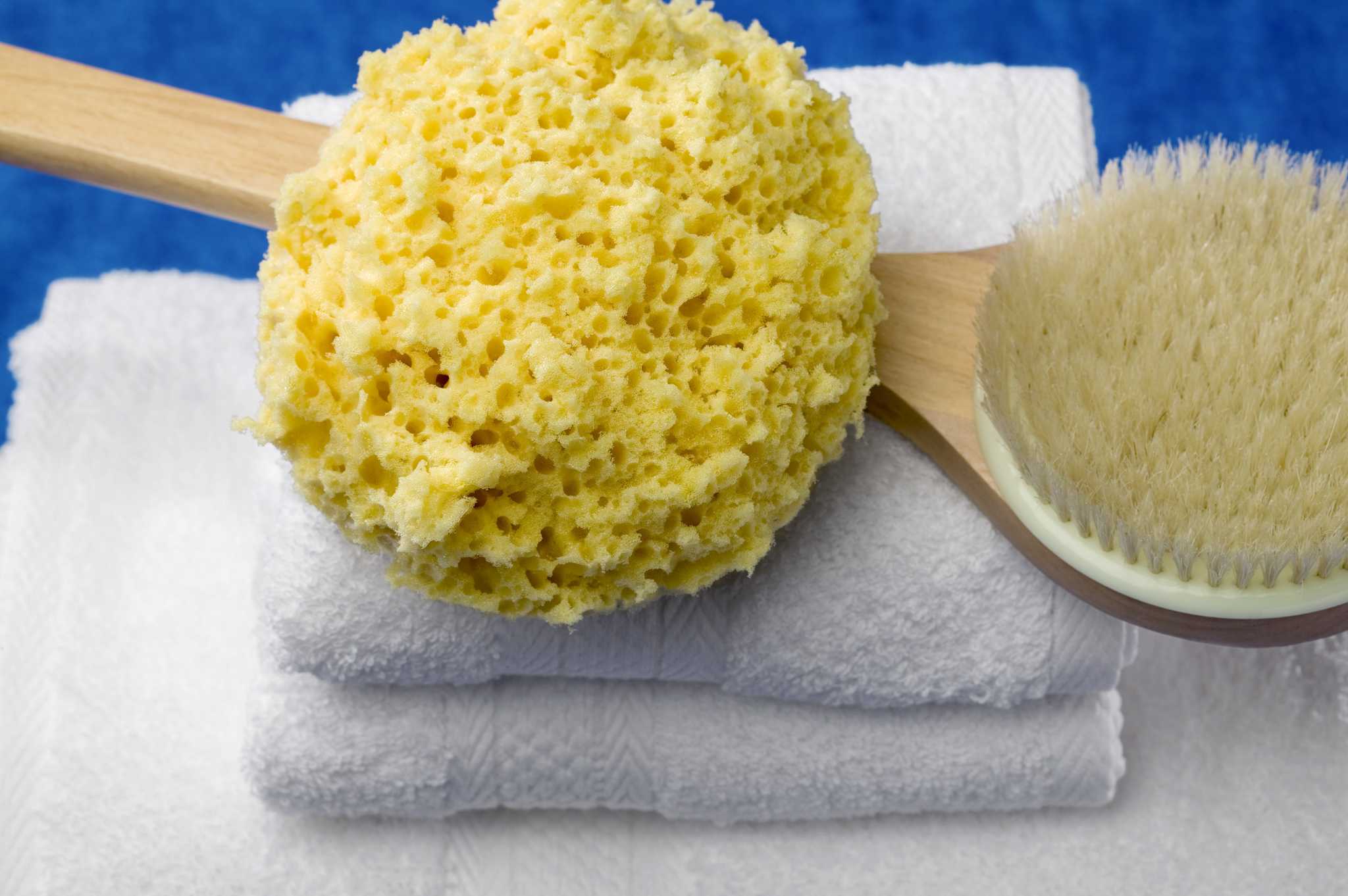 How to Bleach Sea Sponges