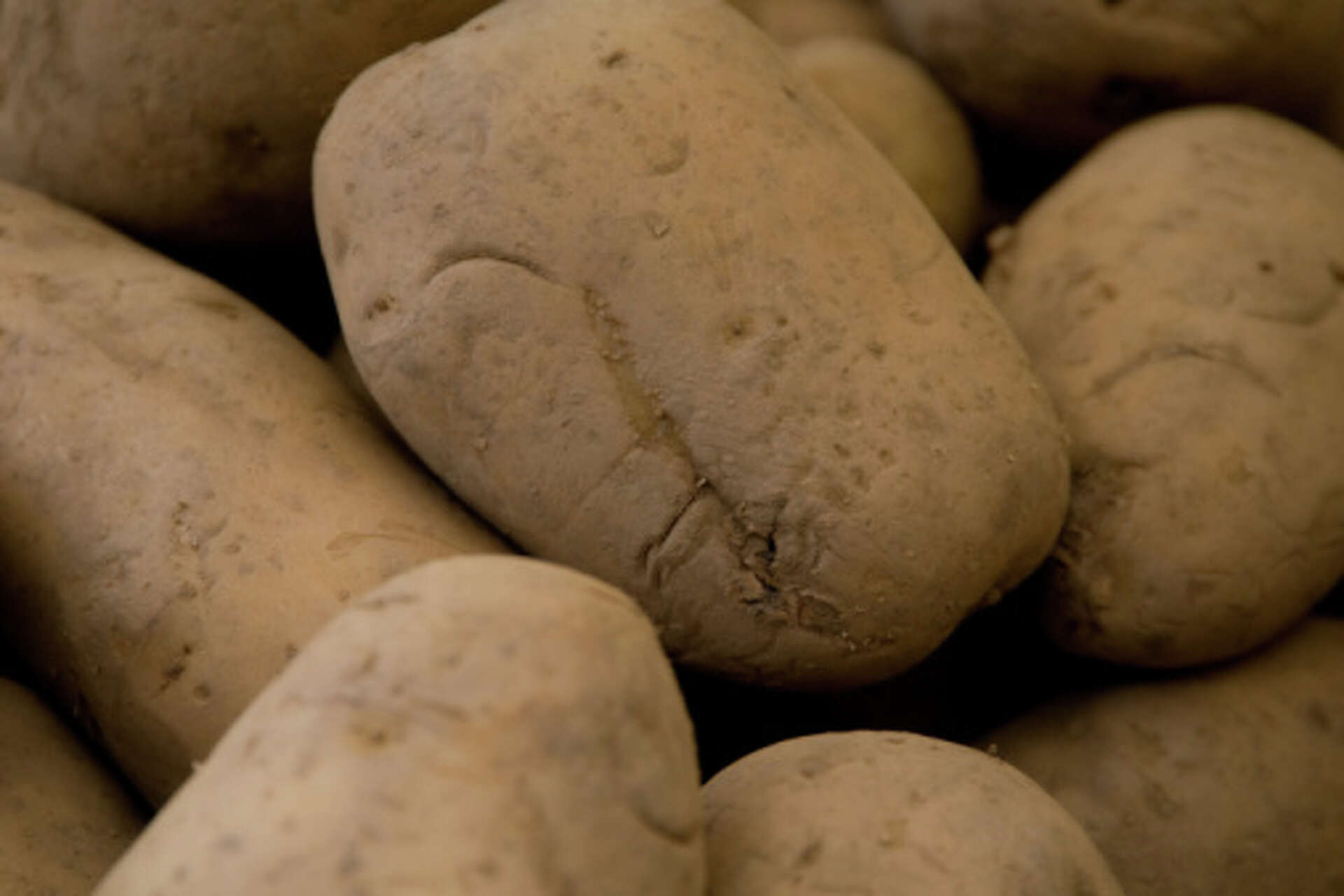 How to Build a Potato Storage Box