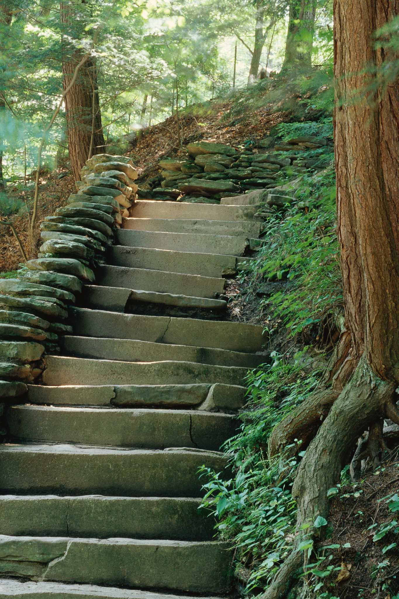 How to Build a Spiral Staircase Around a Tree