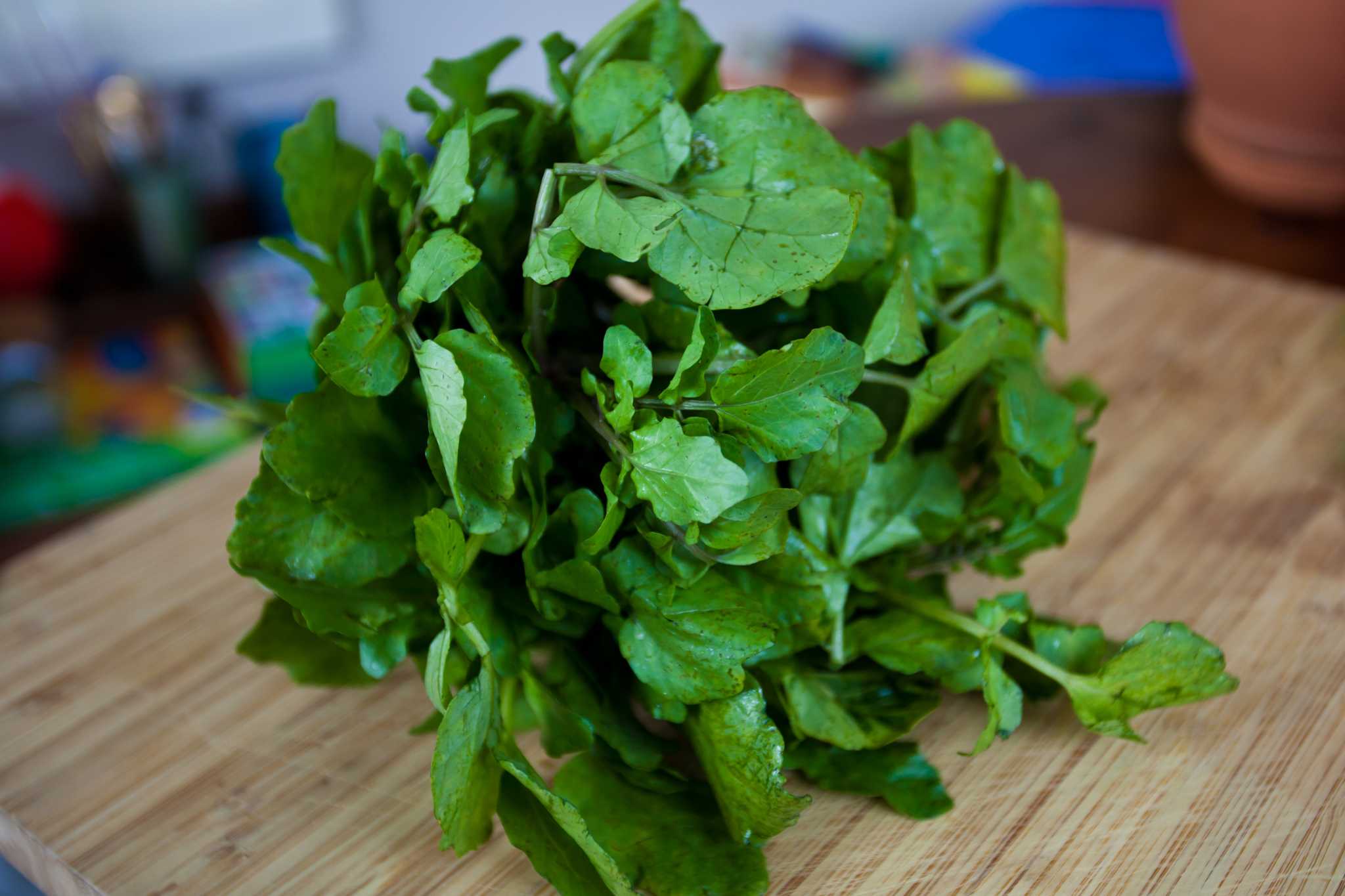 How to Grow Watercress at Home in a Container