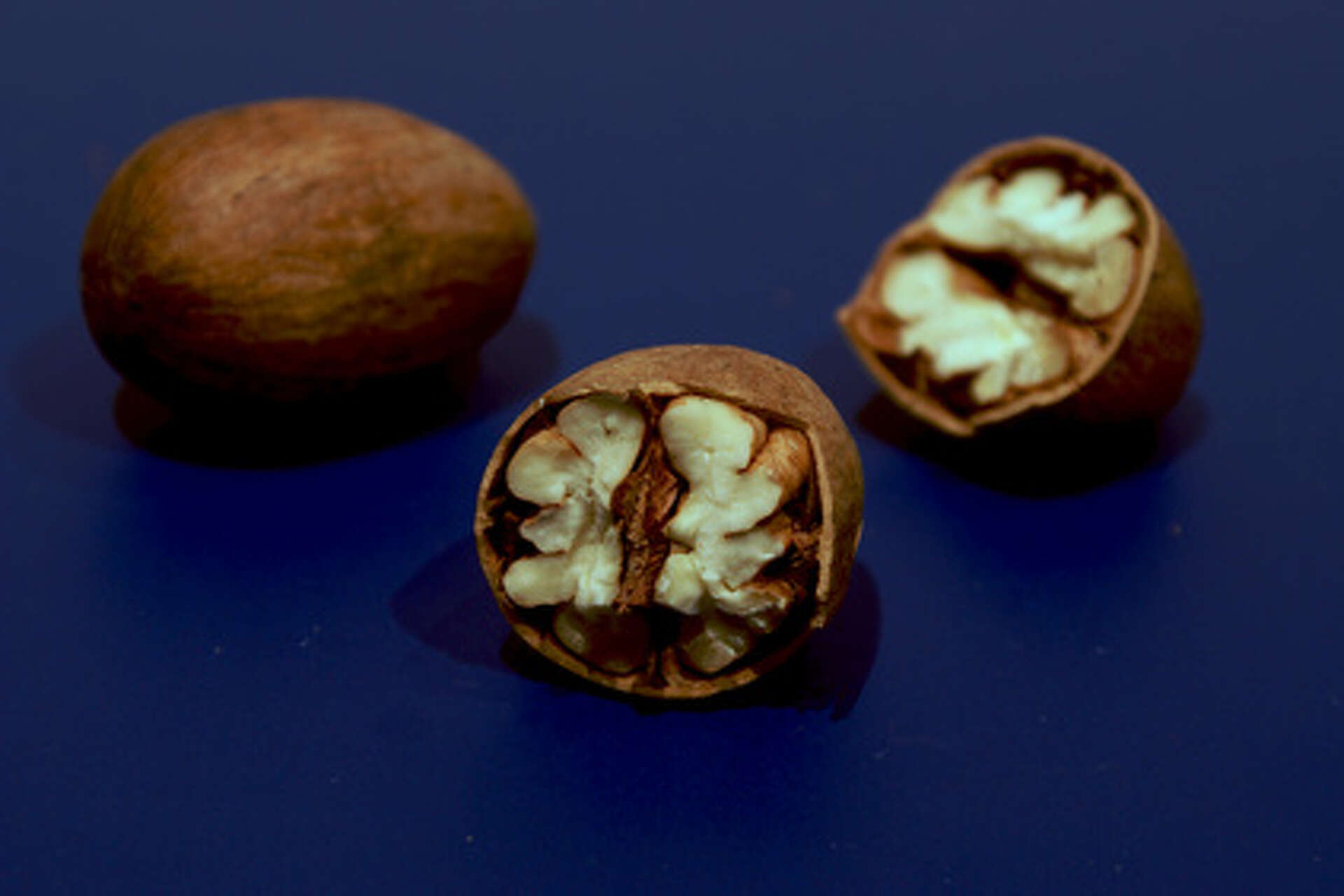 How to Make a Pecan Picker