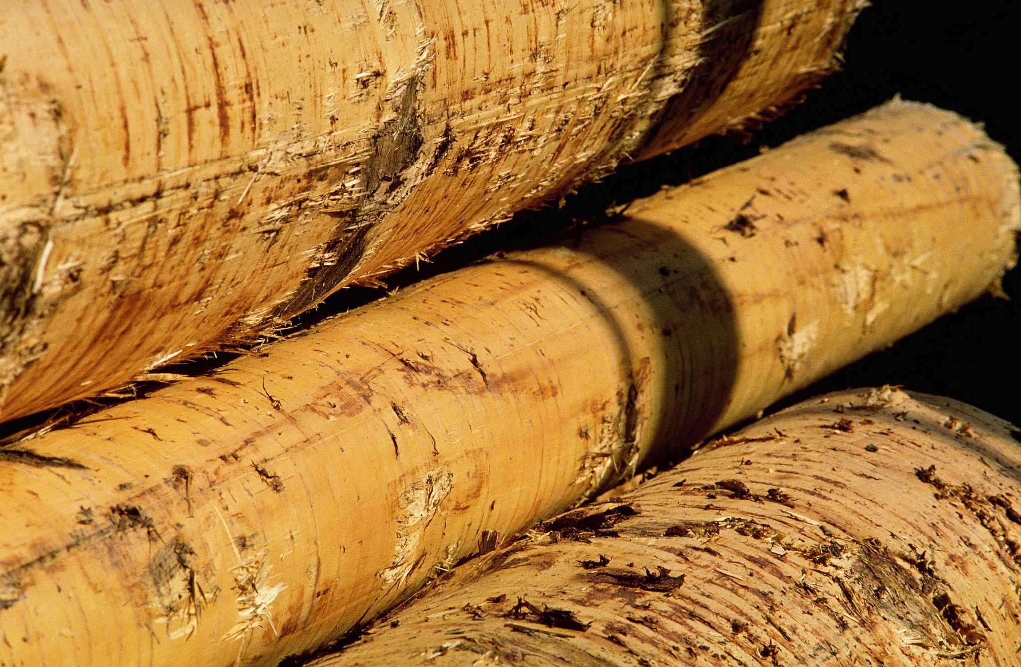 How to Make Rope From Hemp