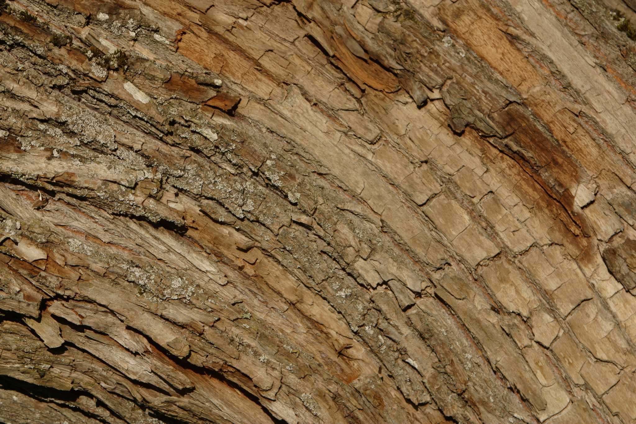 How to Make Wood Expand