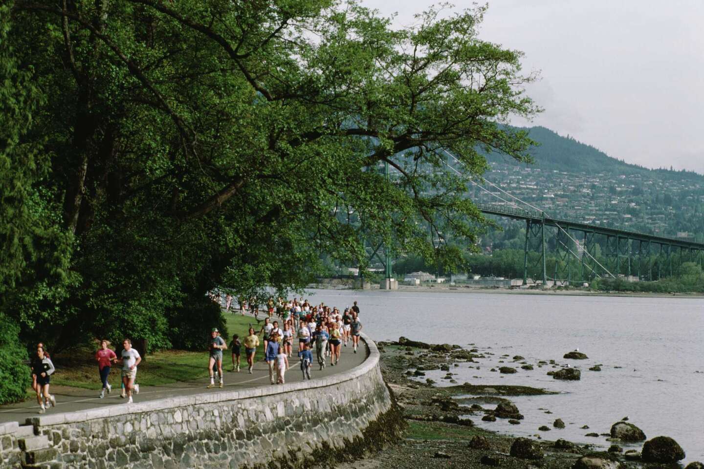 The Physical Difference Between Long Distance Runners & Sprinters