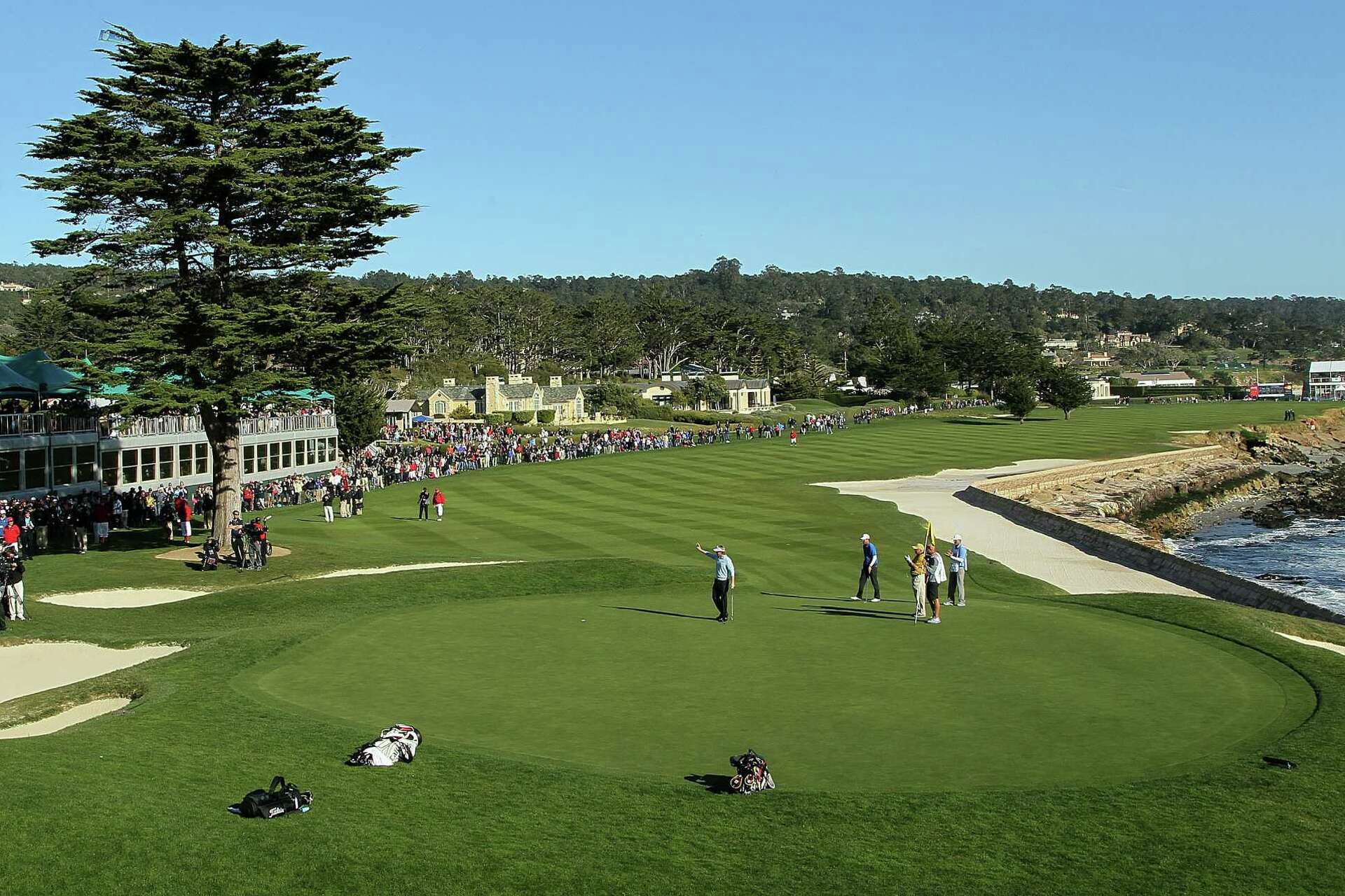 Why Is Poa Annua Grass Hard to Putt On?