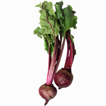 How Do Red Beets Affect Your Digestive System?