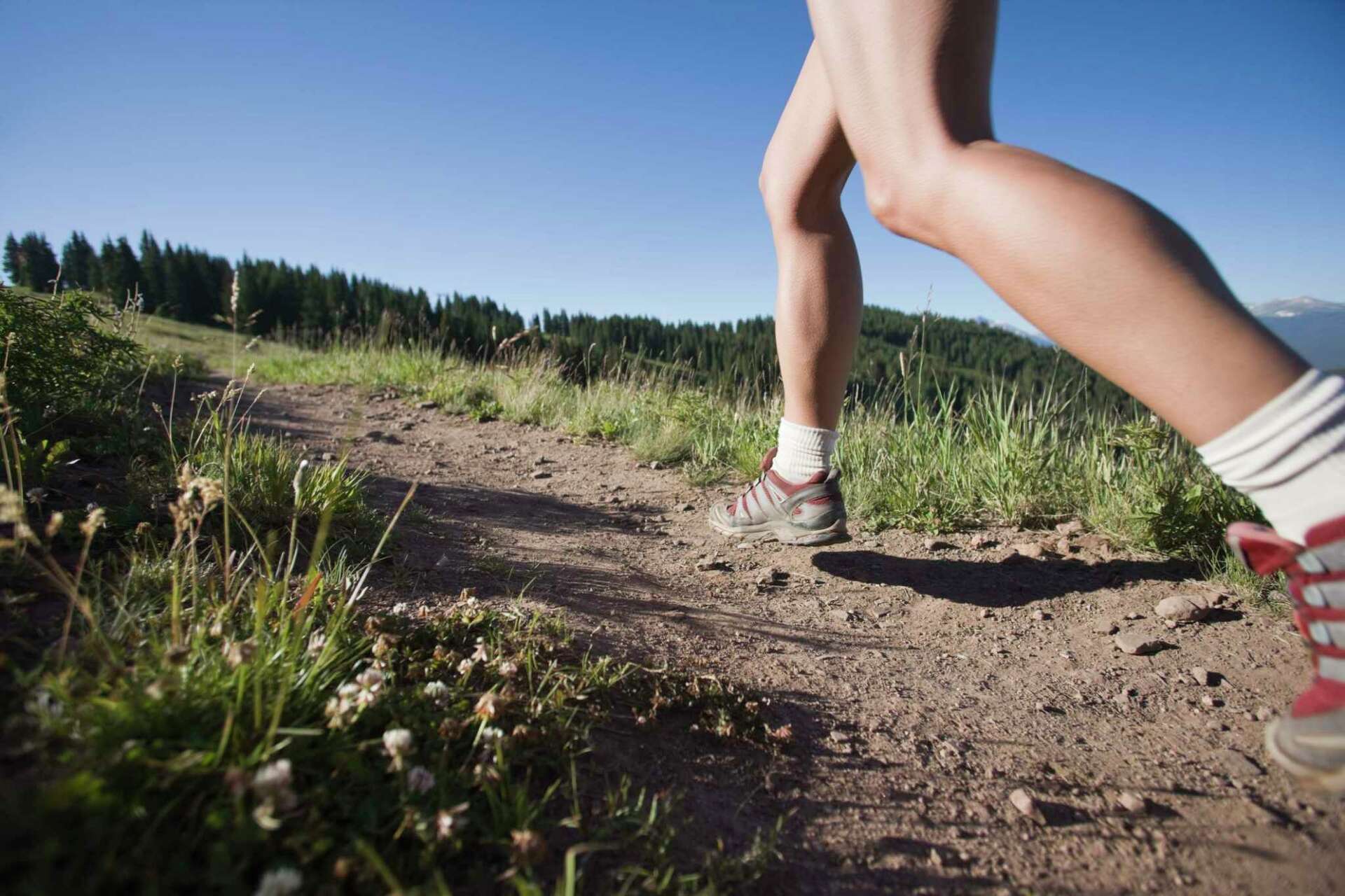 Does Running Make the Calves Bigger?