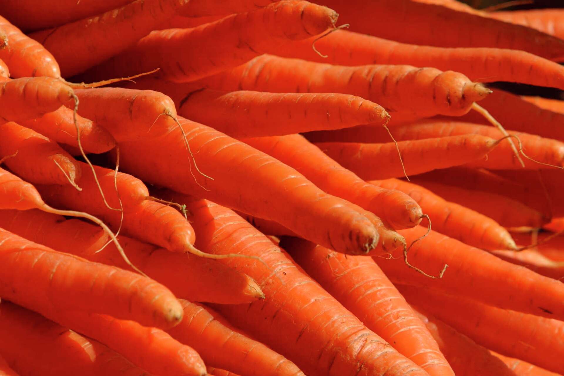 Side Effects of Too Many Carrots