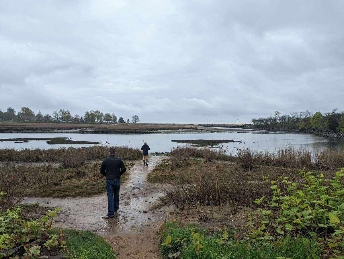 Why oyster shells from CT restaurants are being recycled