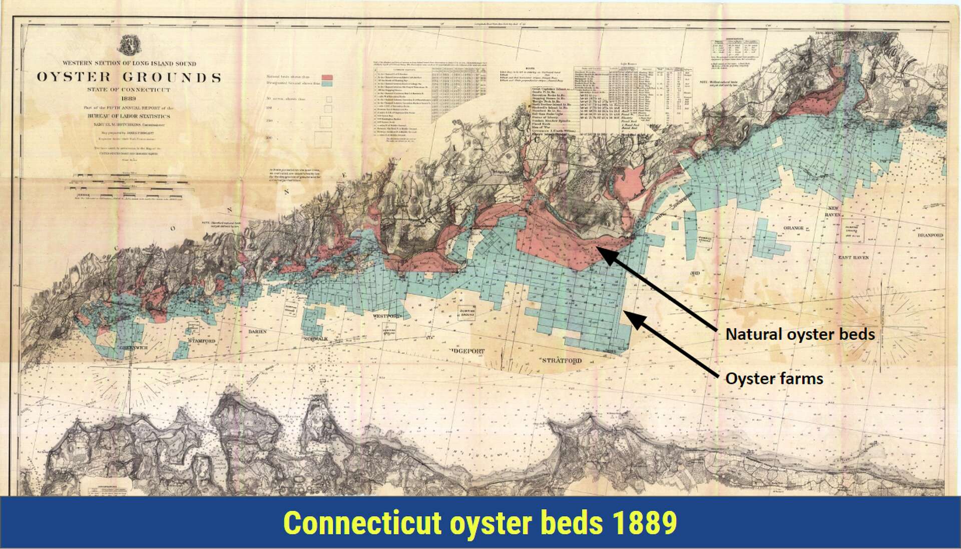 Why oyster shells from CT restaurants are being recycled