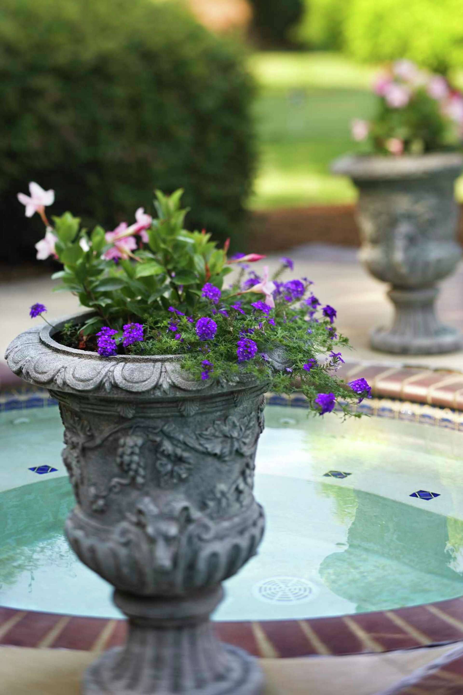 How to Plant in Urns