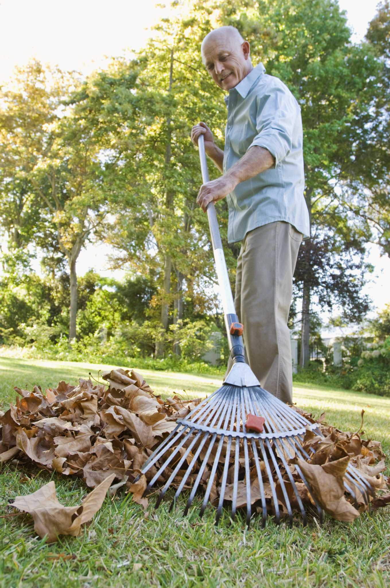 How to Rake a Large Yard