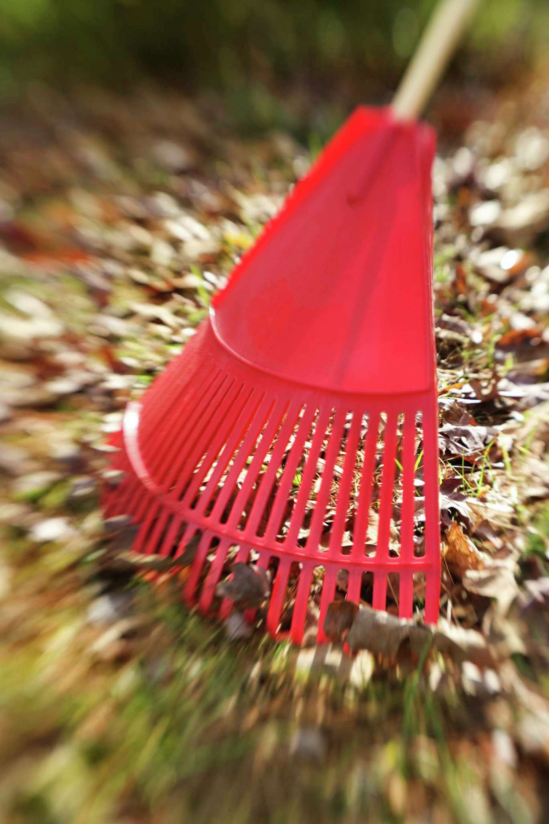 How to Rake Leaves Out of Bushes