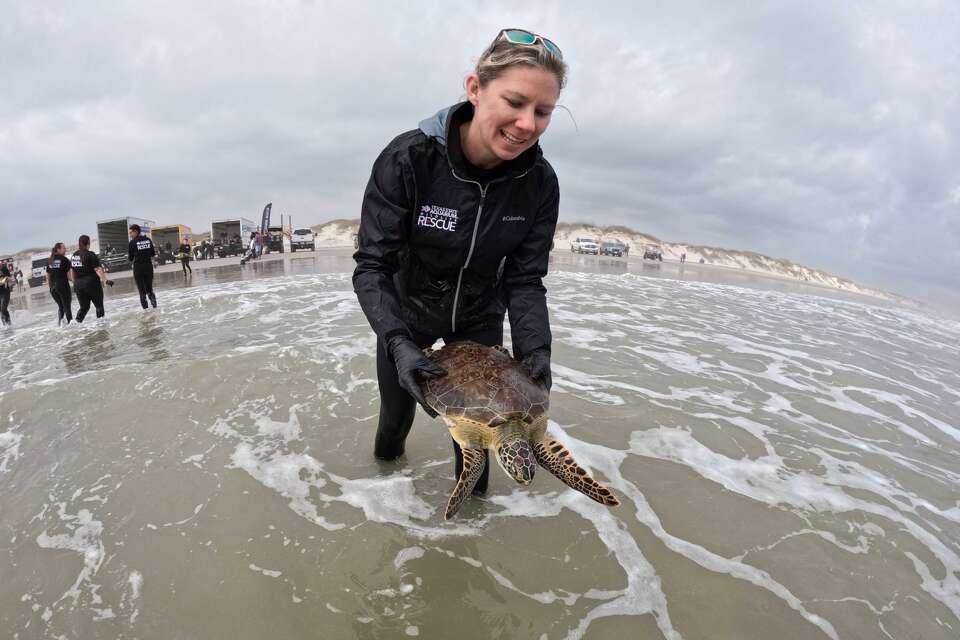 Texas State Aquarium, a Corpus Christi marvel worth visiting