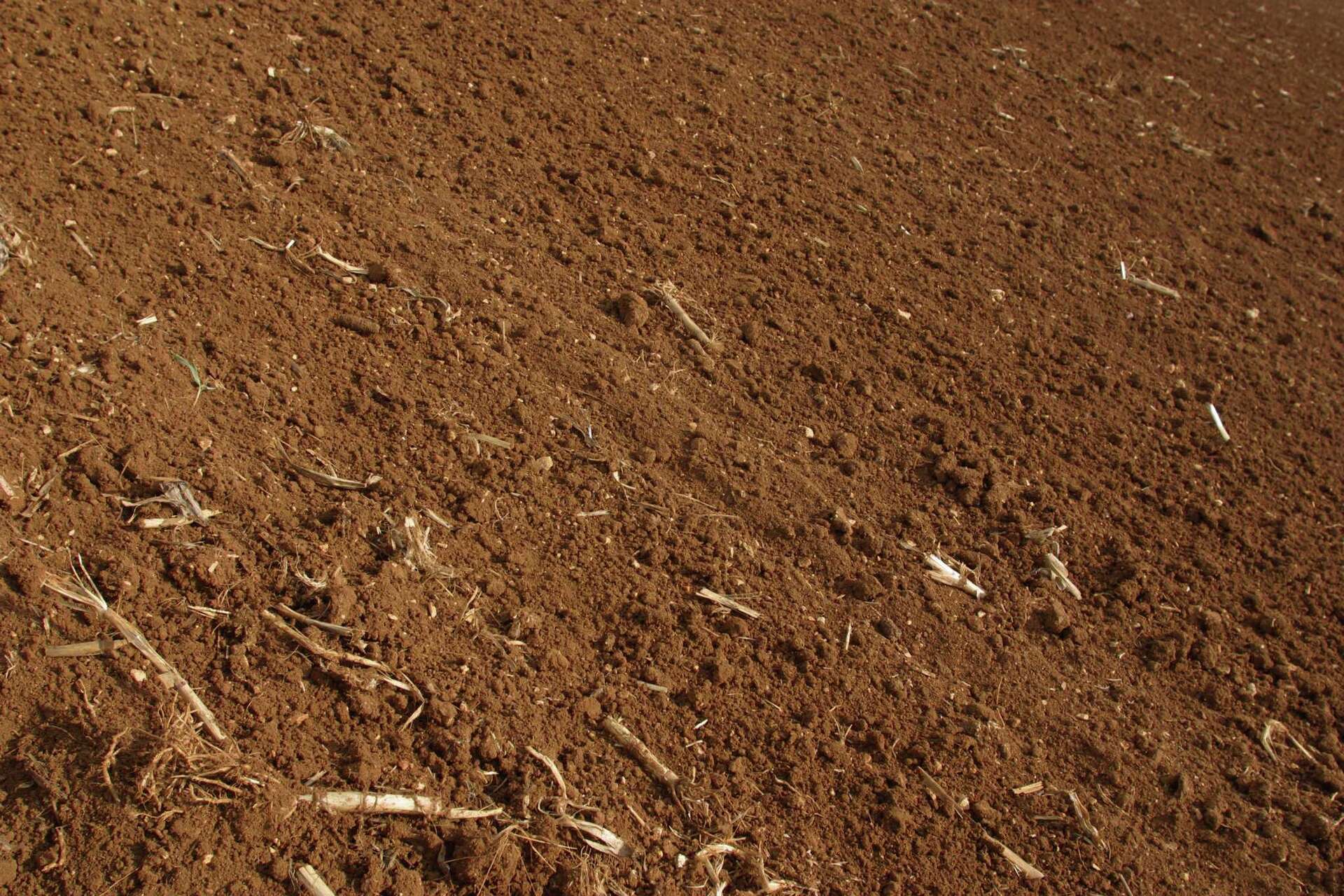 How to Rebuild Topsoil