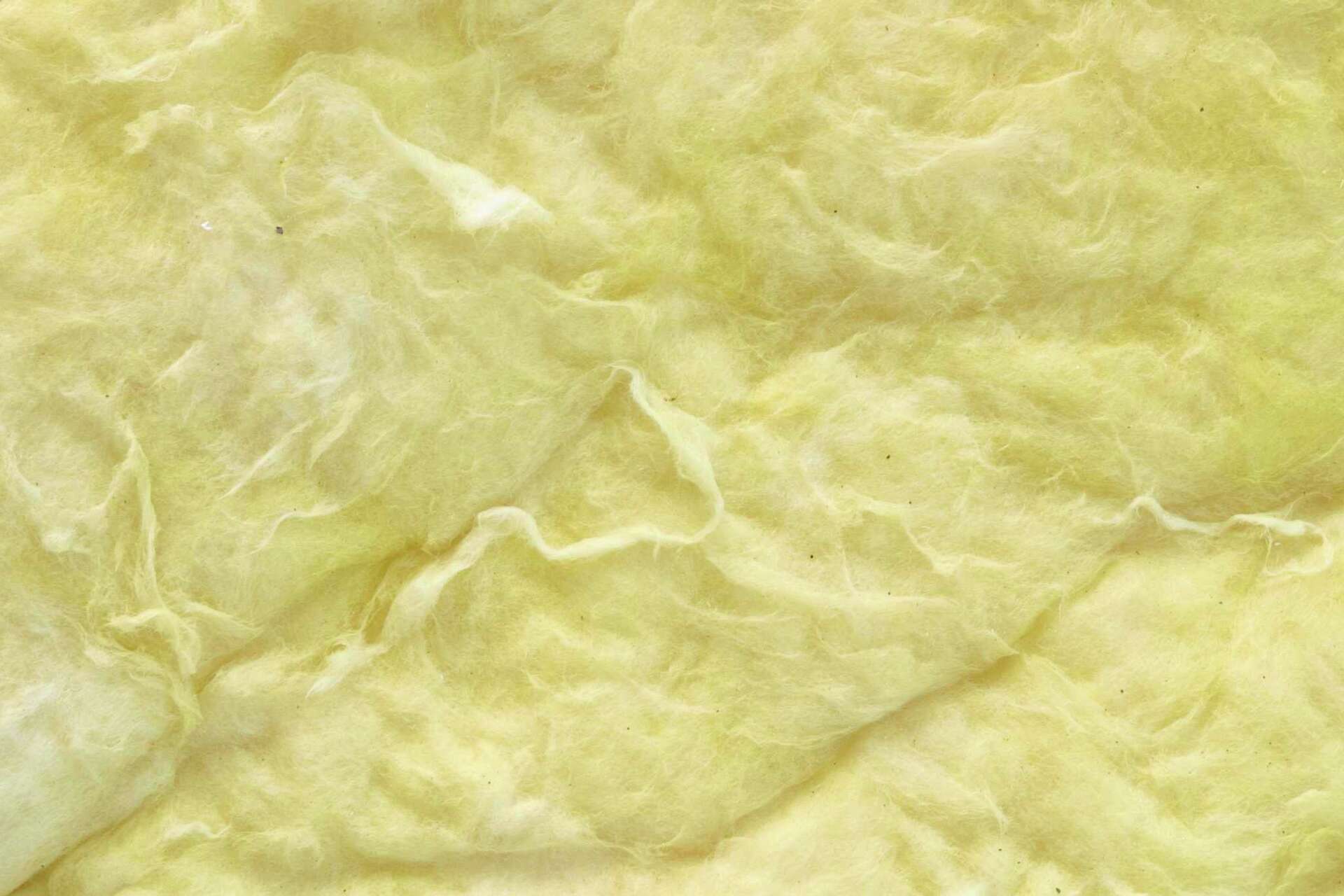 Hydroponics: How to Grow in Wool Cubes