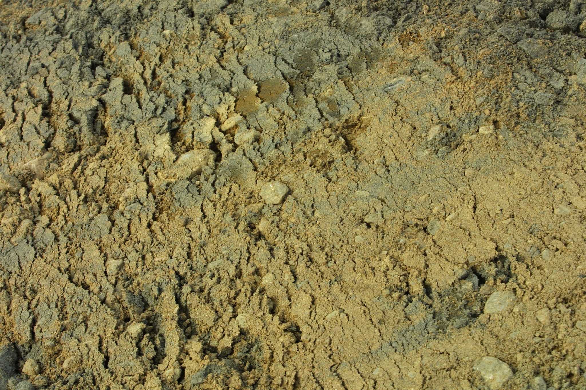 How to Recycle Old Sand in the Garden for Compost