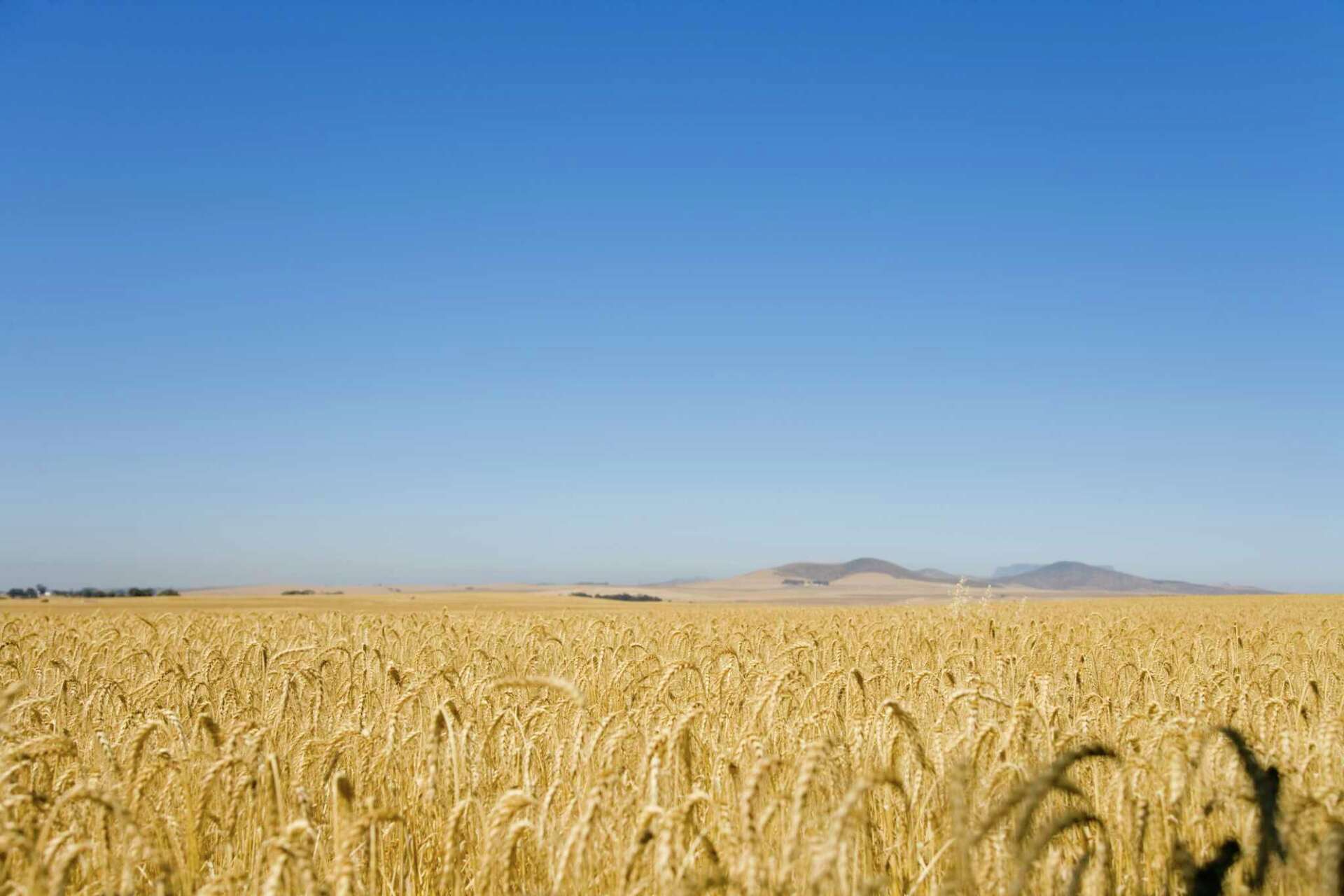 What Does it Mean When Vacant Land Says Utilities Nearby?