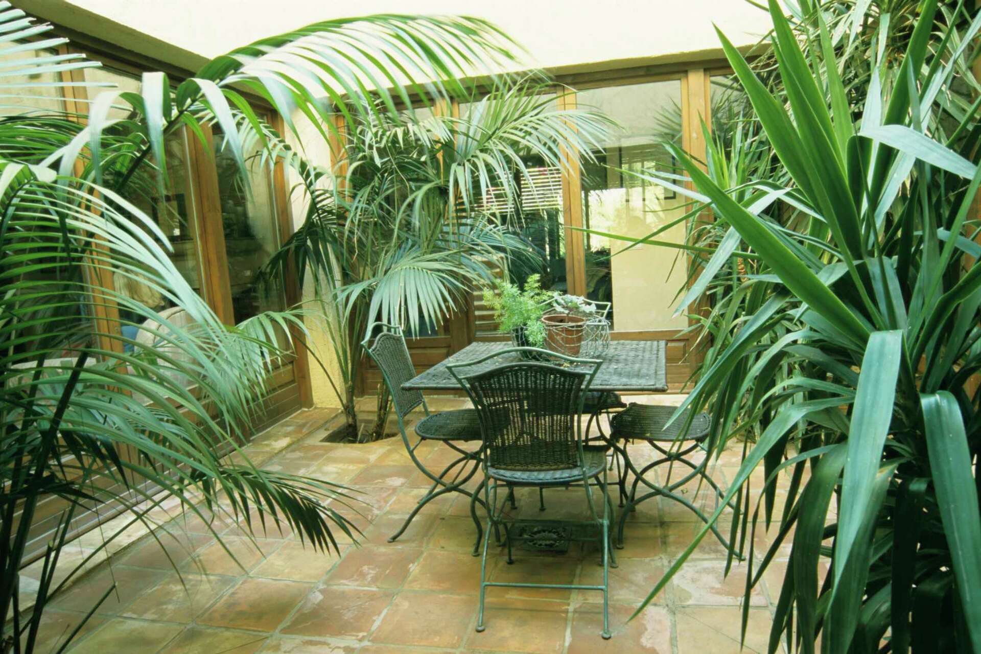How to Plant Your Atrium