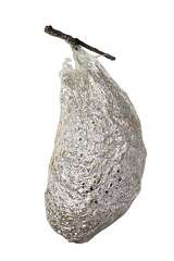 How to Re-Hang a Cocoon