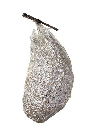 How to Re-Hang a Cocoon