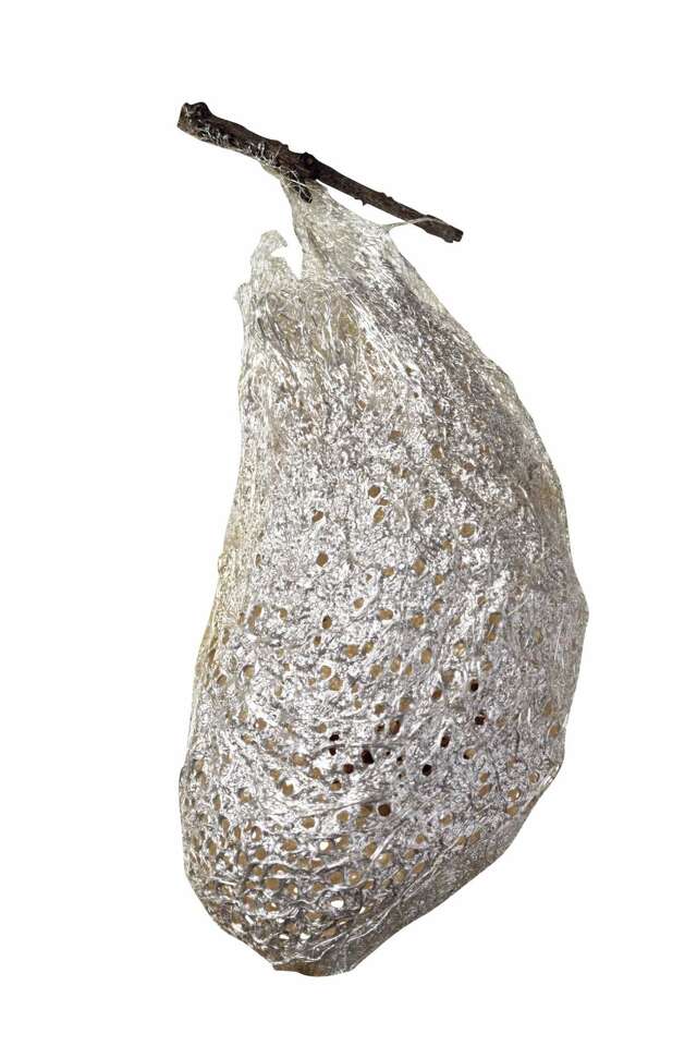 How to Re-Hang a Cocoon