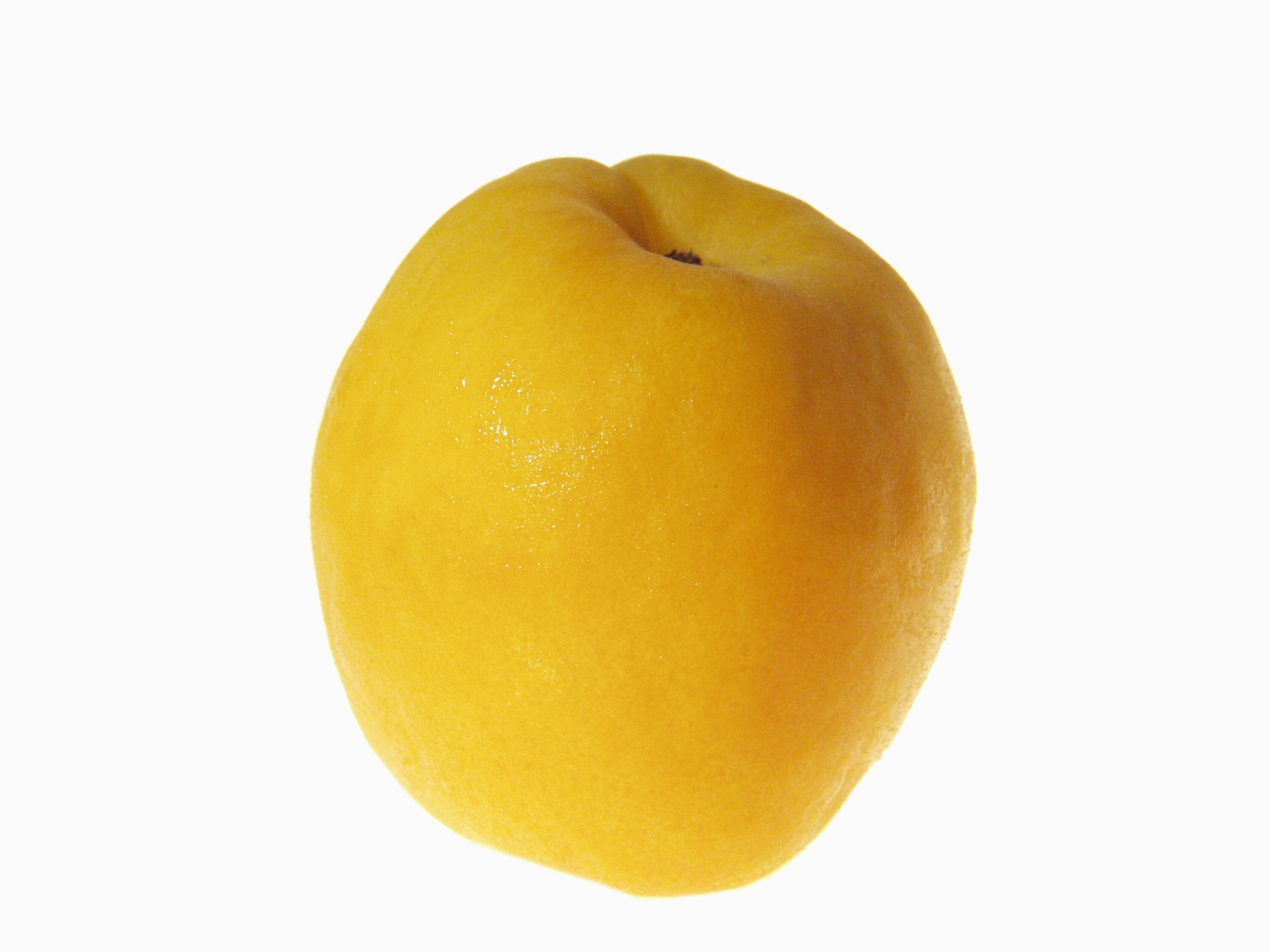 Insects That Invade Apricot Trees