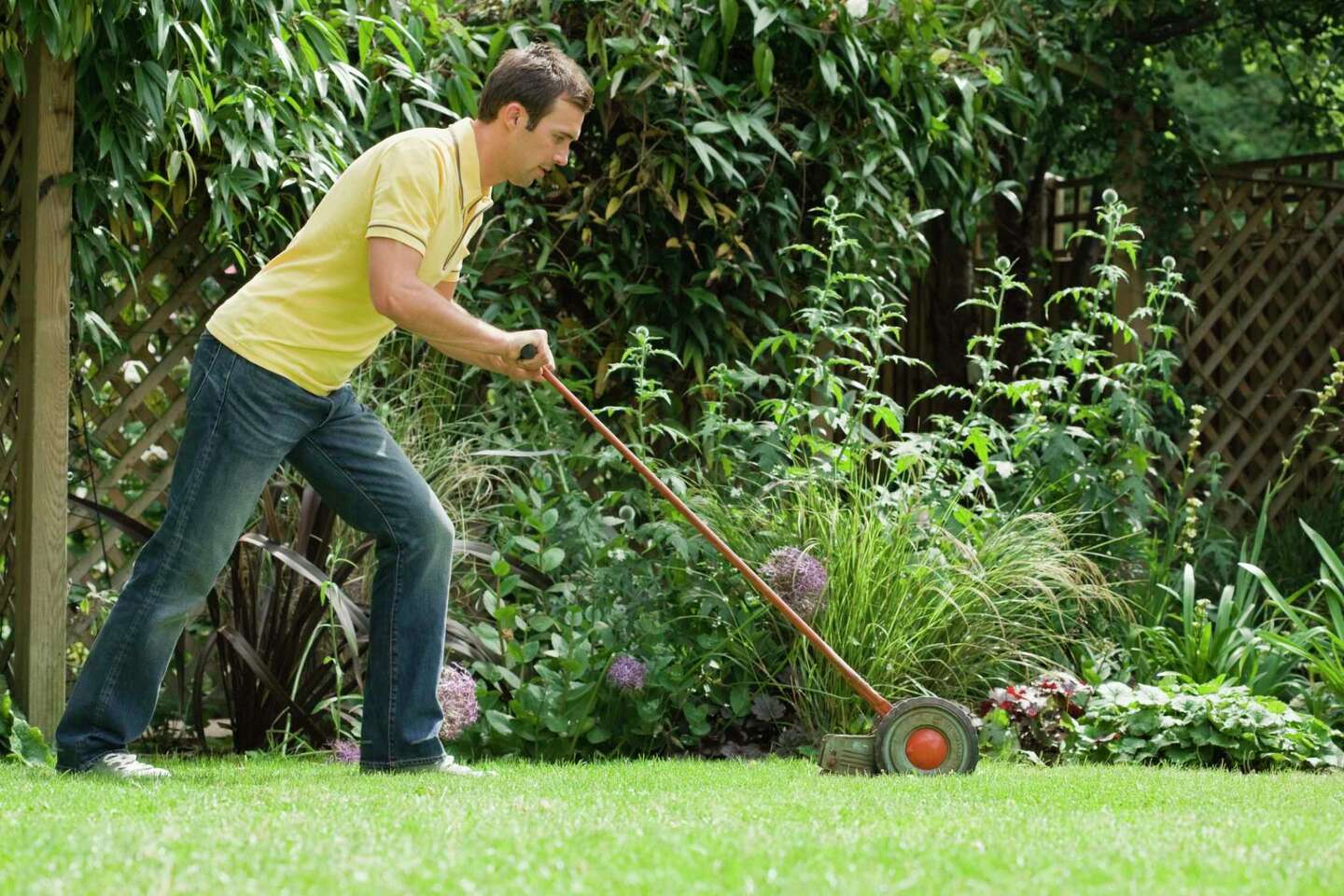 How to Install Cement Mow Curbs