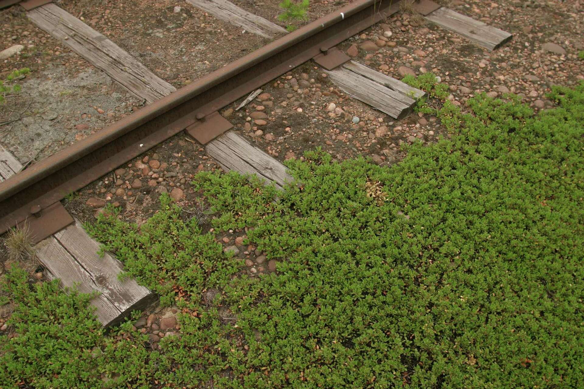 Landscaping Ideas With Railroad Ties