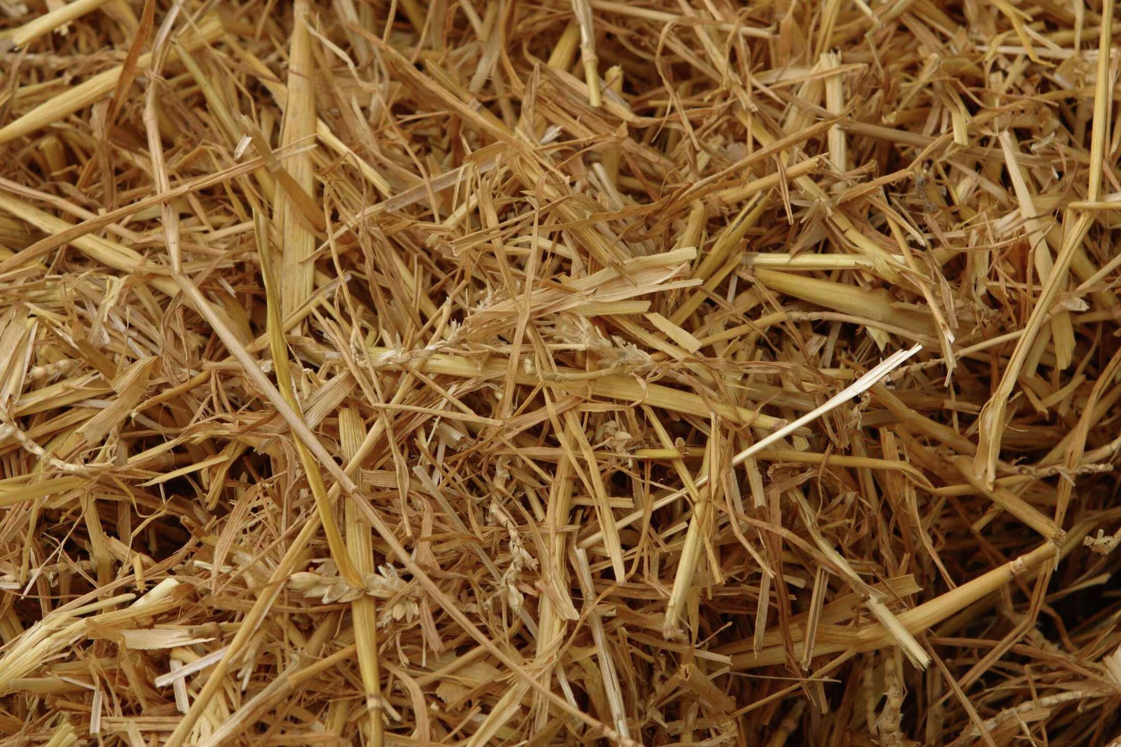 How to Install a Straw Wattle