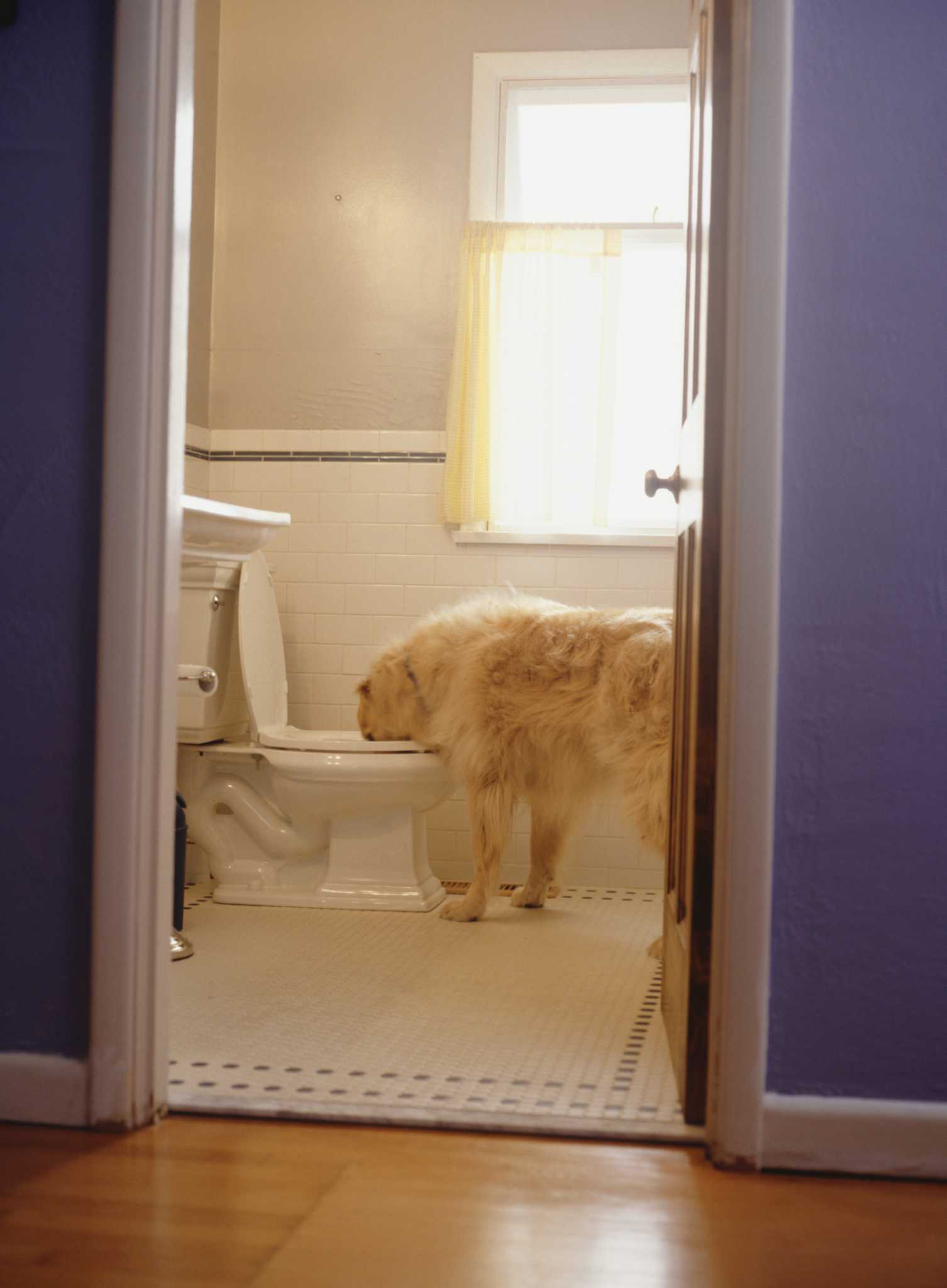 How to Install Two Wax Rings in a Toilet
