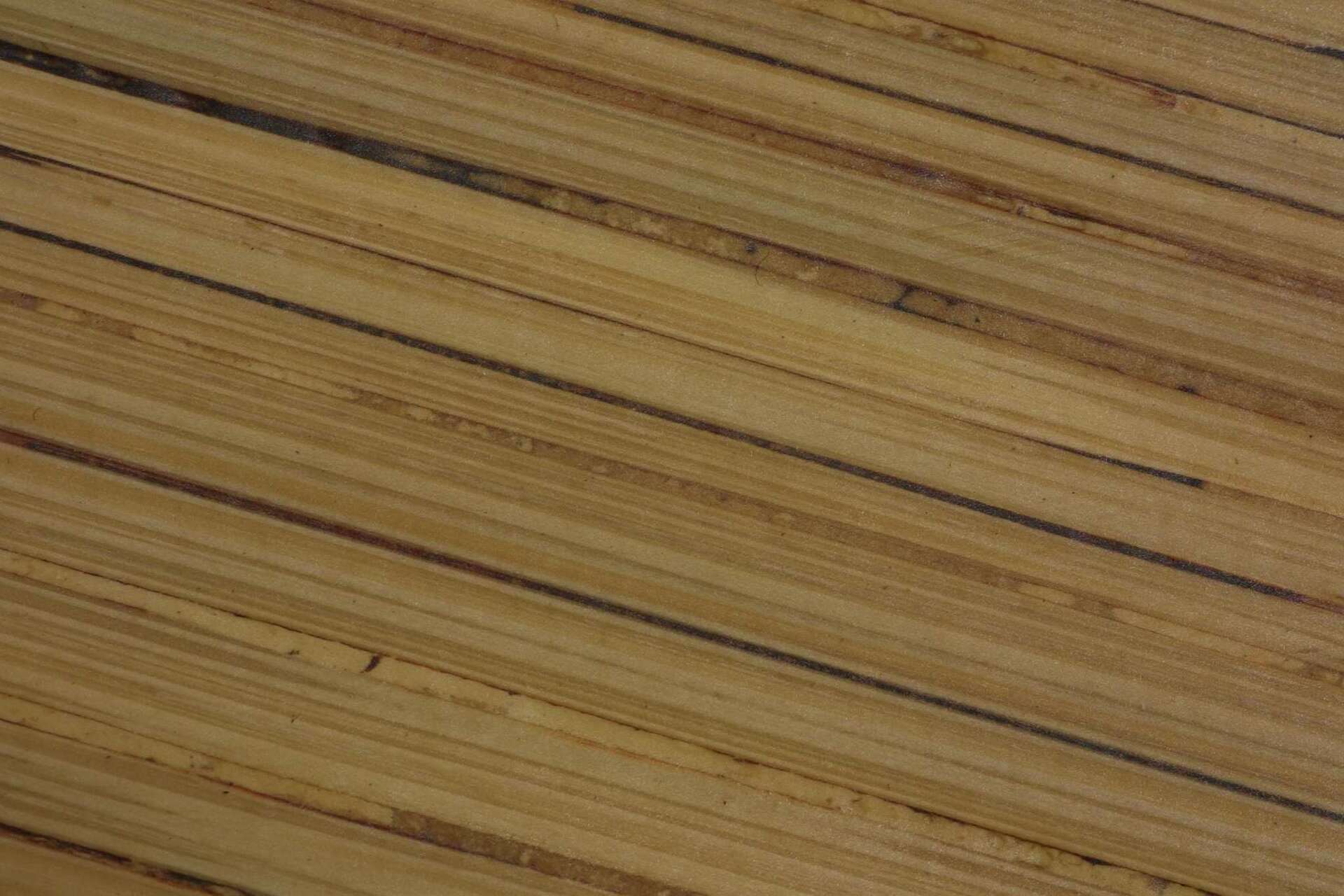 Repairing Delaminated Wood