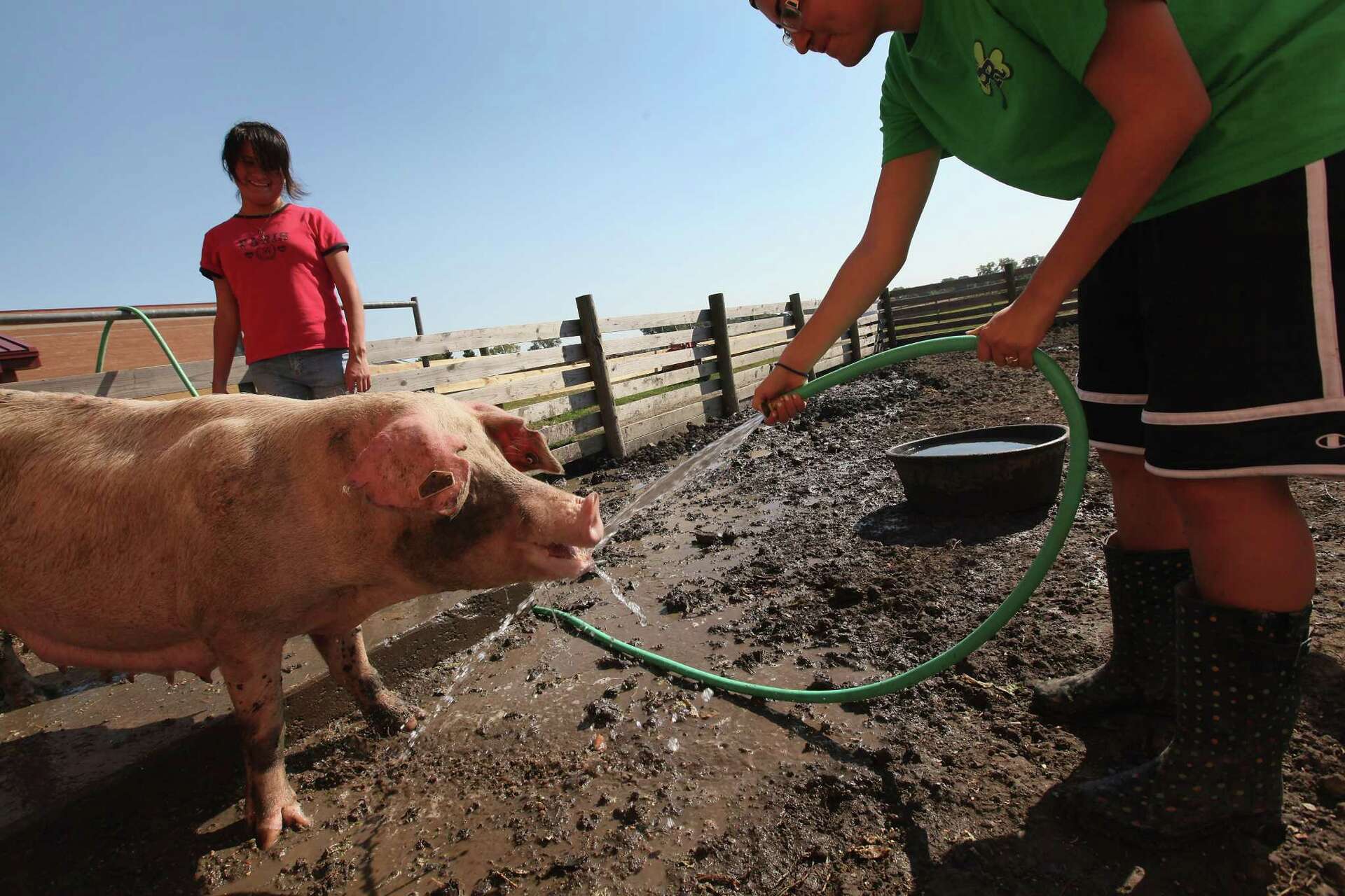 How to Repair a Pinhole in a Garden Hose