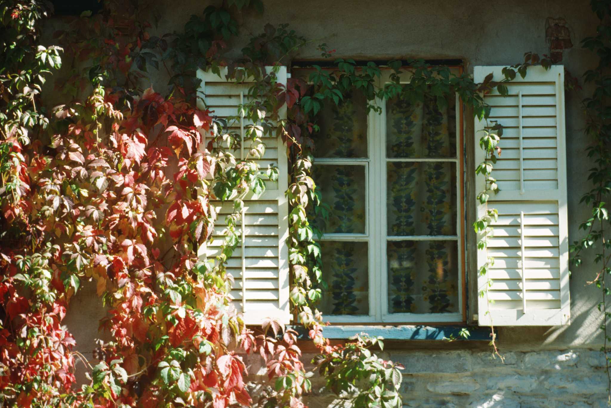 How to Repair Rotted Framing