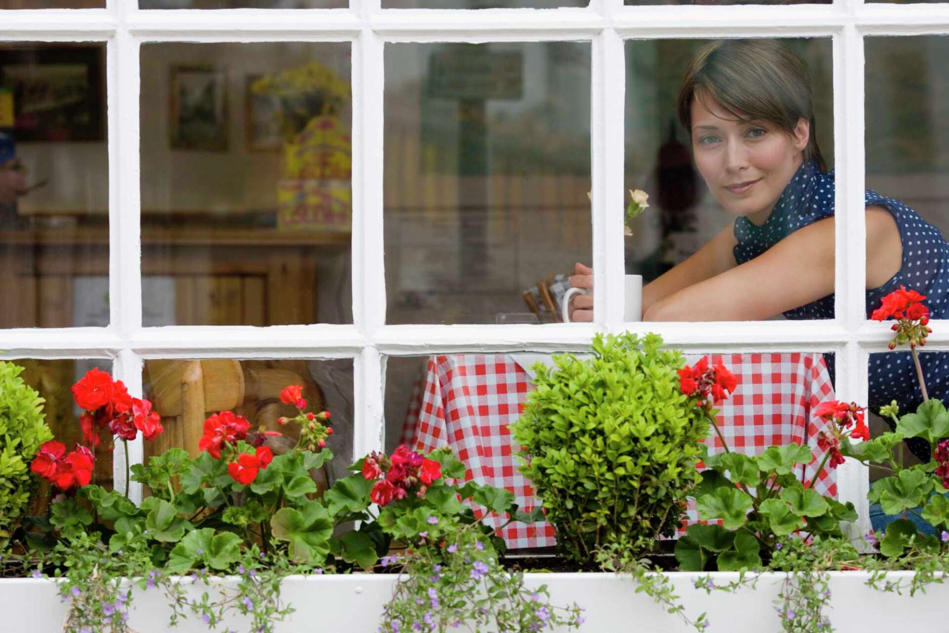 How to Keep Birds off Window Boxes