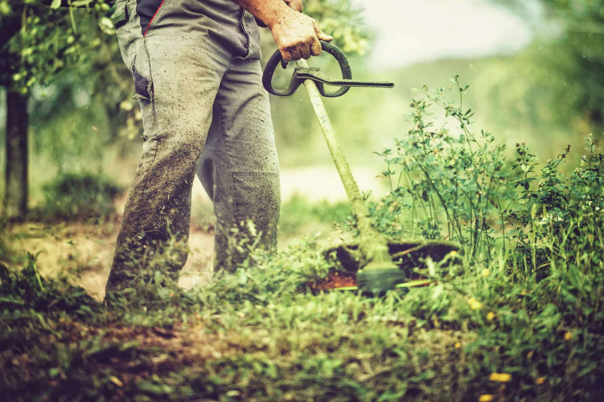 How to Know When You Have the Wrong Weed Eater Fuel Mixture?