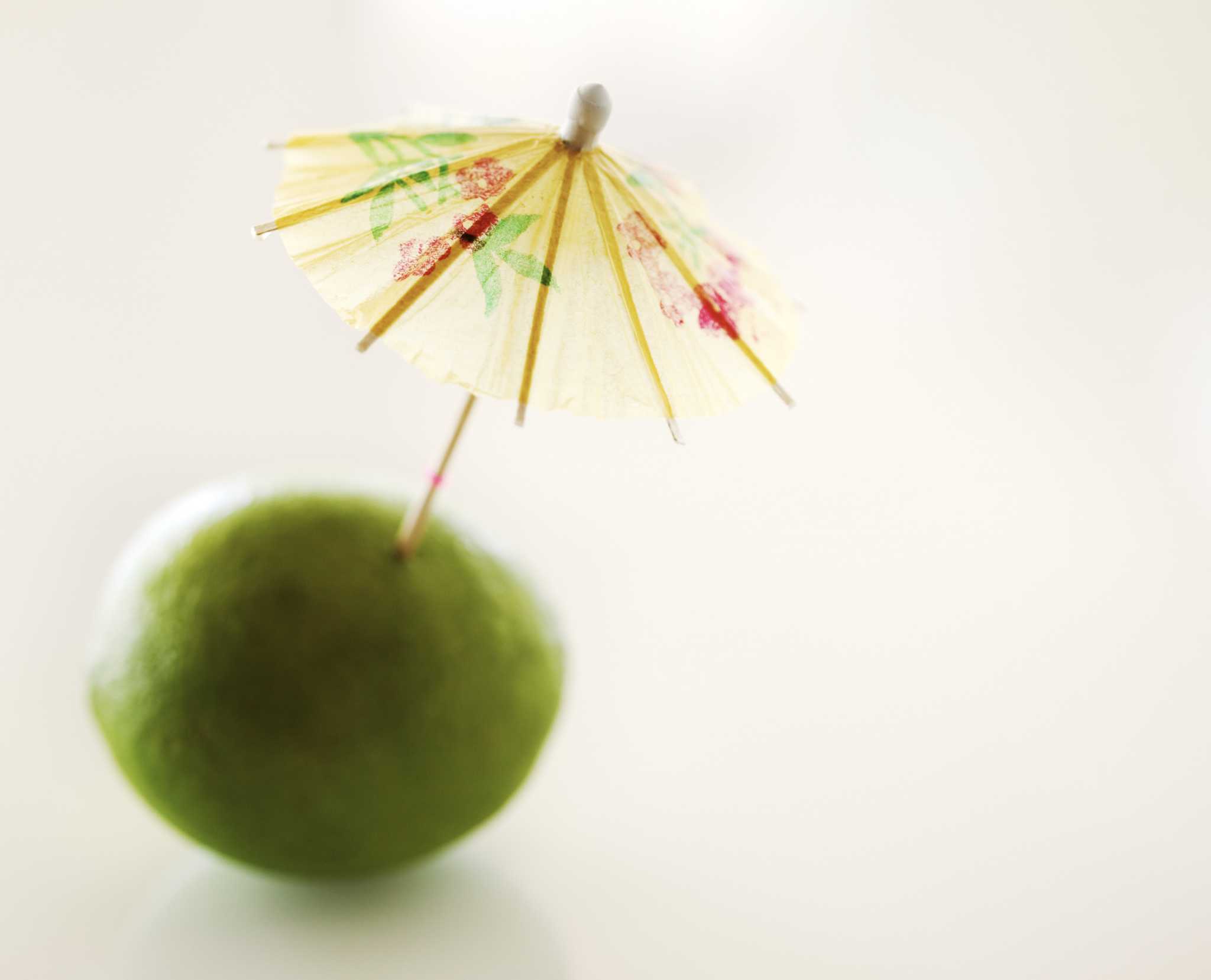 Key Lime Tree Diseases