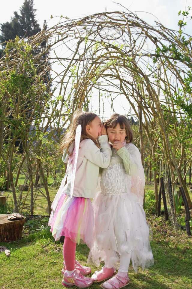 How to Make Garden Arches Out of Tree Branches