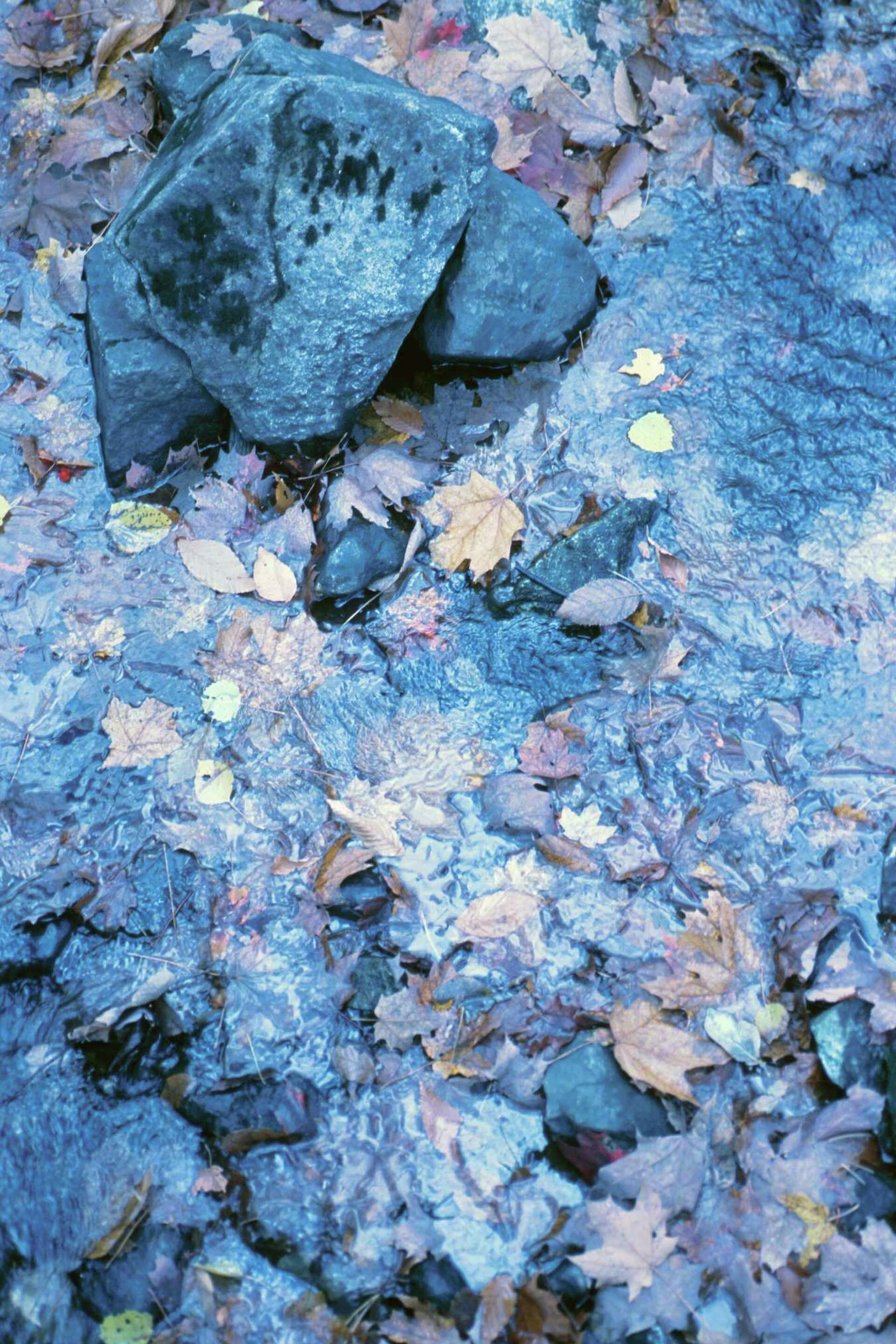 How to Kill Moss on Decomposed Granite