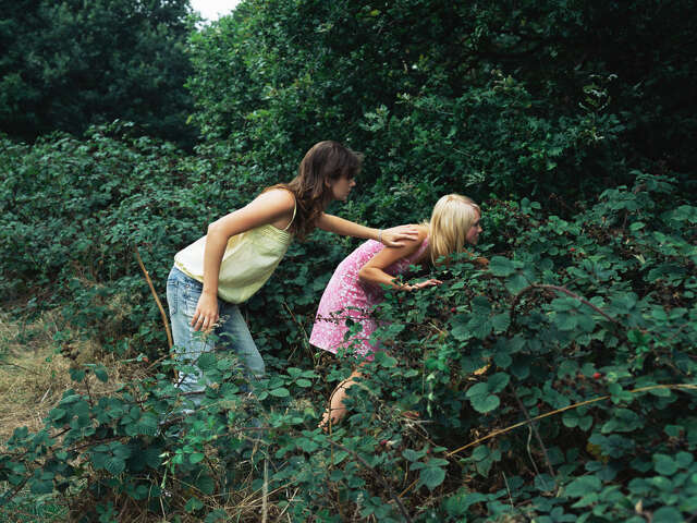 How to Kill Off Briar