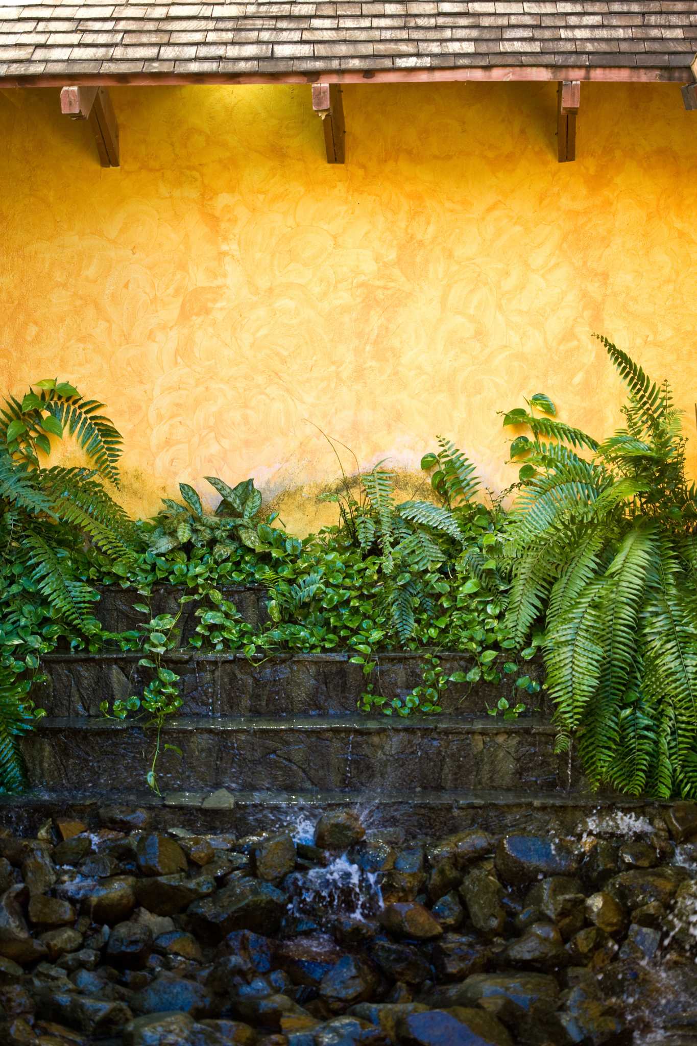 How to Kill Vines That Strangle Plants