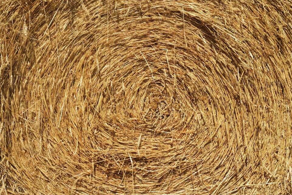 How to Kill Weed Seeds in Hay